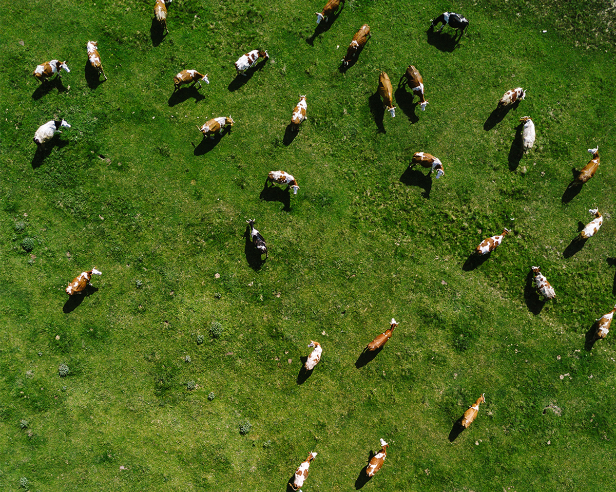 Kevin Sagara Q&A: Advancing Sustainability with the Salk Institute | Sempra